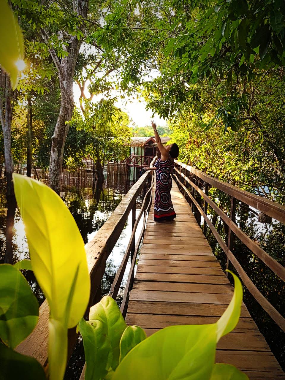 Experience the Wonders of the Amazon - Jungle Lodge