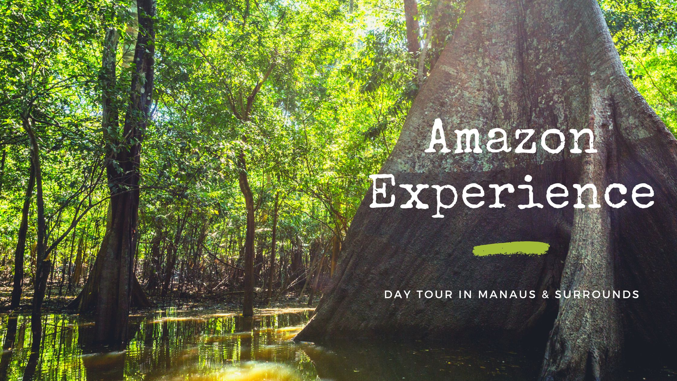 Day Tour: Meeting of the Negro and Solimões rivers | Amazônia