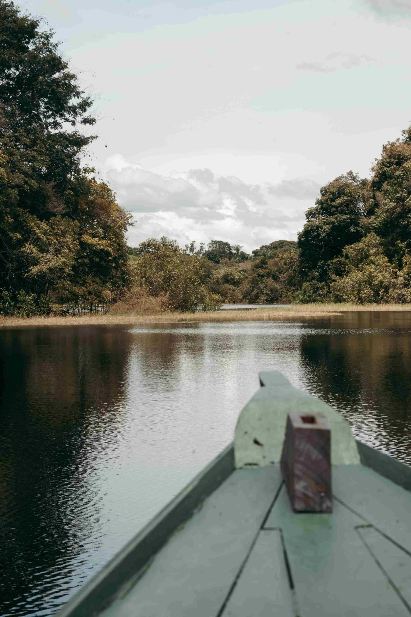 Home - Amazon Explorers